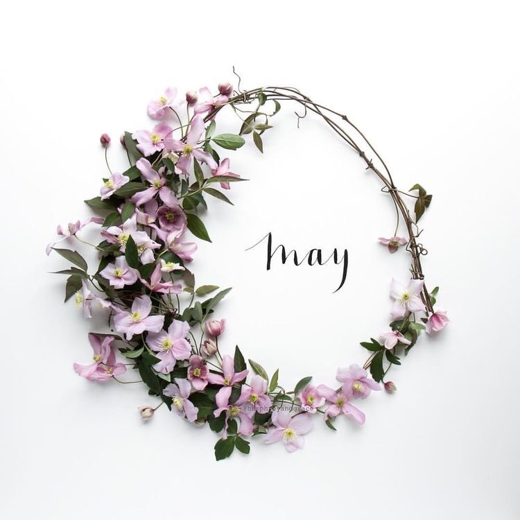 May 2019 | The Undiluted Word